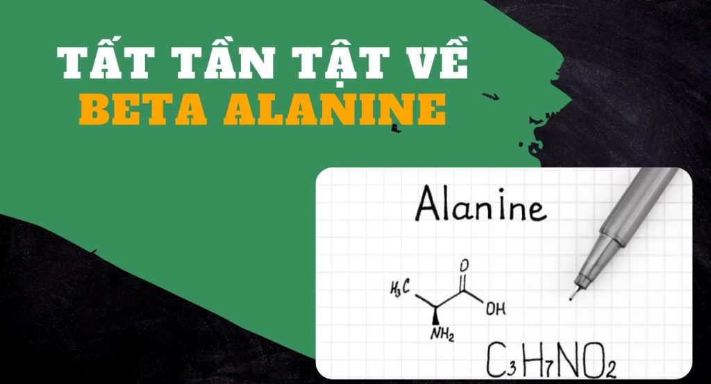 Beta Alanine là gì ? Công dụng và lợi ích của Beta Alanine với cơ thể ...