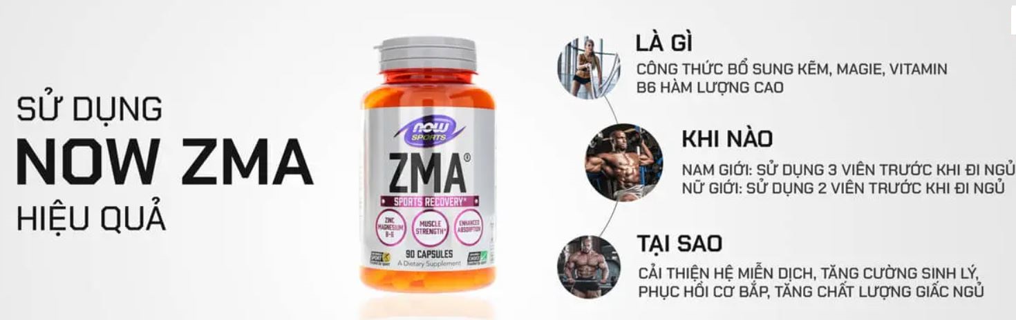 #1. ZMA là gì ? Lợi ích và cách sử dụng hiệu quả | Dây Ngũ Sắc Tập Gym ...